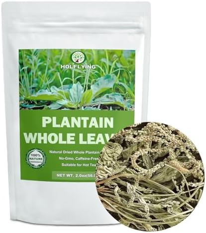 Amazon.com : Dried Whole Plantain Leaf Herbs - 2.0 oz(56.0g), All ...