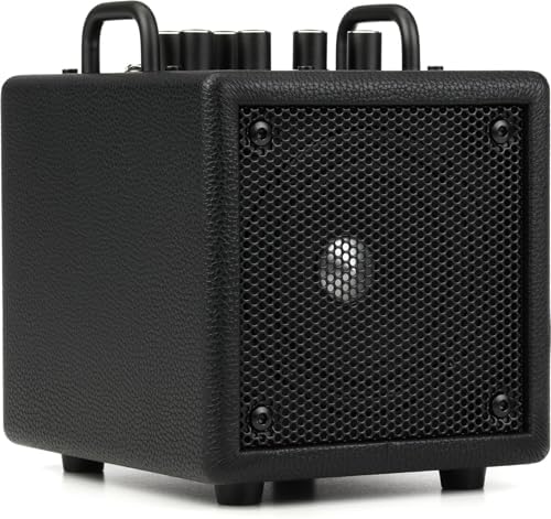 Amazon.com: Phil Jones Bass X4 Nanobass 35-watt Multi-instrument Combo ...