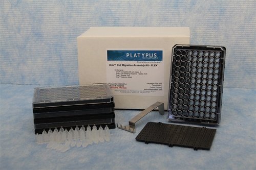 Amazon.com: Oris - Platypus Oris Universal Cell Migration Assay Kit ...