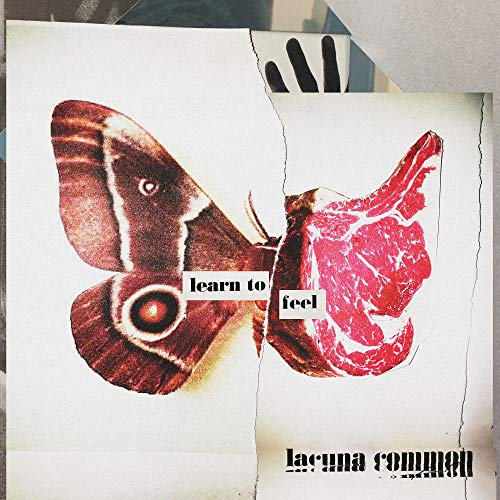 Learn to Feel by Lacuna Common on Amazon Music - Amazon.com