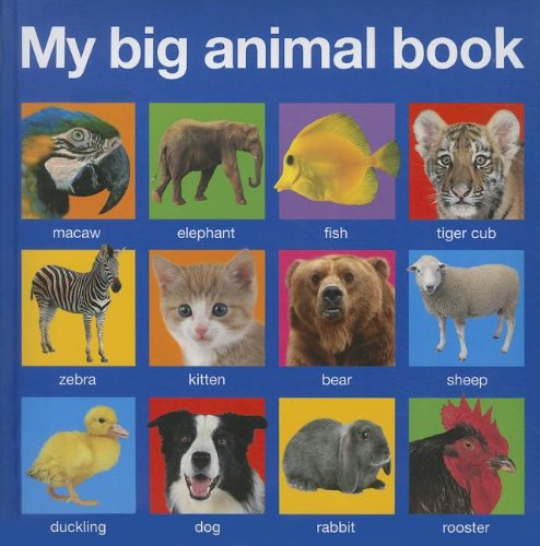 Amazon.com: My Big Animal Book (Board Book): 9780312513658: RogerPriddy