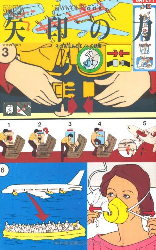 Amazon.com: Visual Instruction Archive (Japanese Edition ...