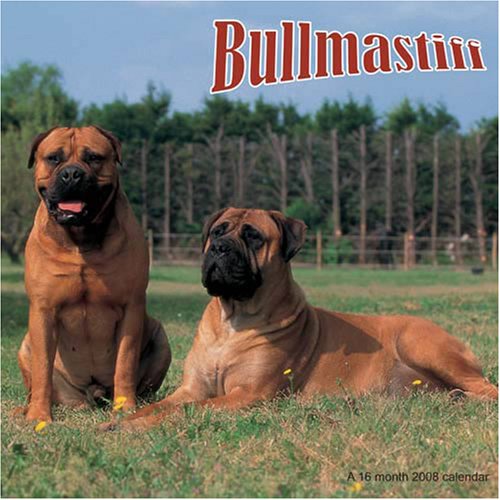Bullmastiff 2008 Wall Calendar: Magnum Publications: 9781602540491 ...