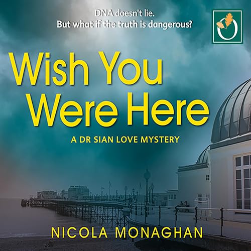 Wish You Were Here: Monaghan, Nicola, Kelly, Kitty: 9781399110693 ...