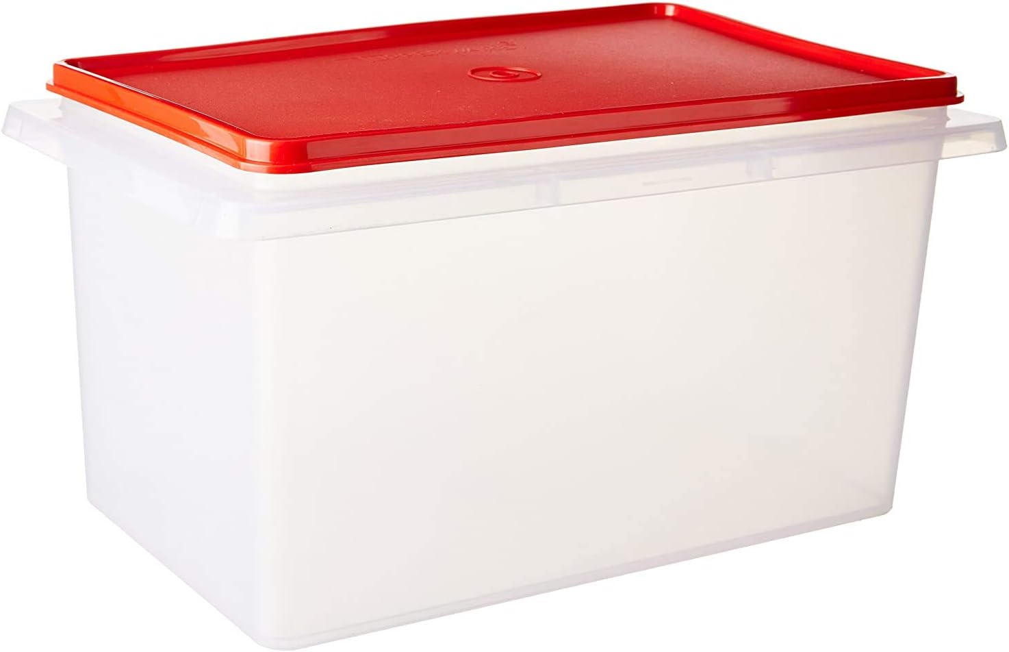 Amazon.com: Tupperware Plastic Rice Keeper - 5 Kg, Multicolored : Home ...