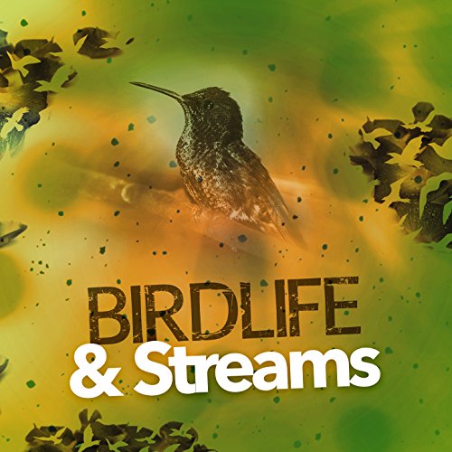 Amazon.com: Birdlife & Streams : Calm Bird Sounds: Digital Music