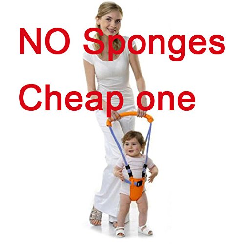 Amazon.com : Kid Keeper Baby Learning Walking Assistant Walkers Baby ...