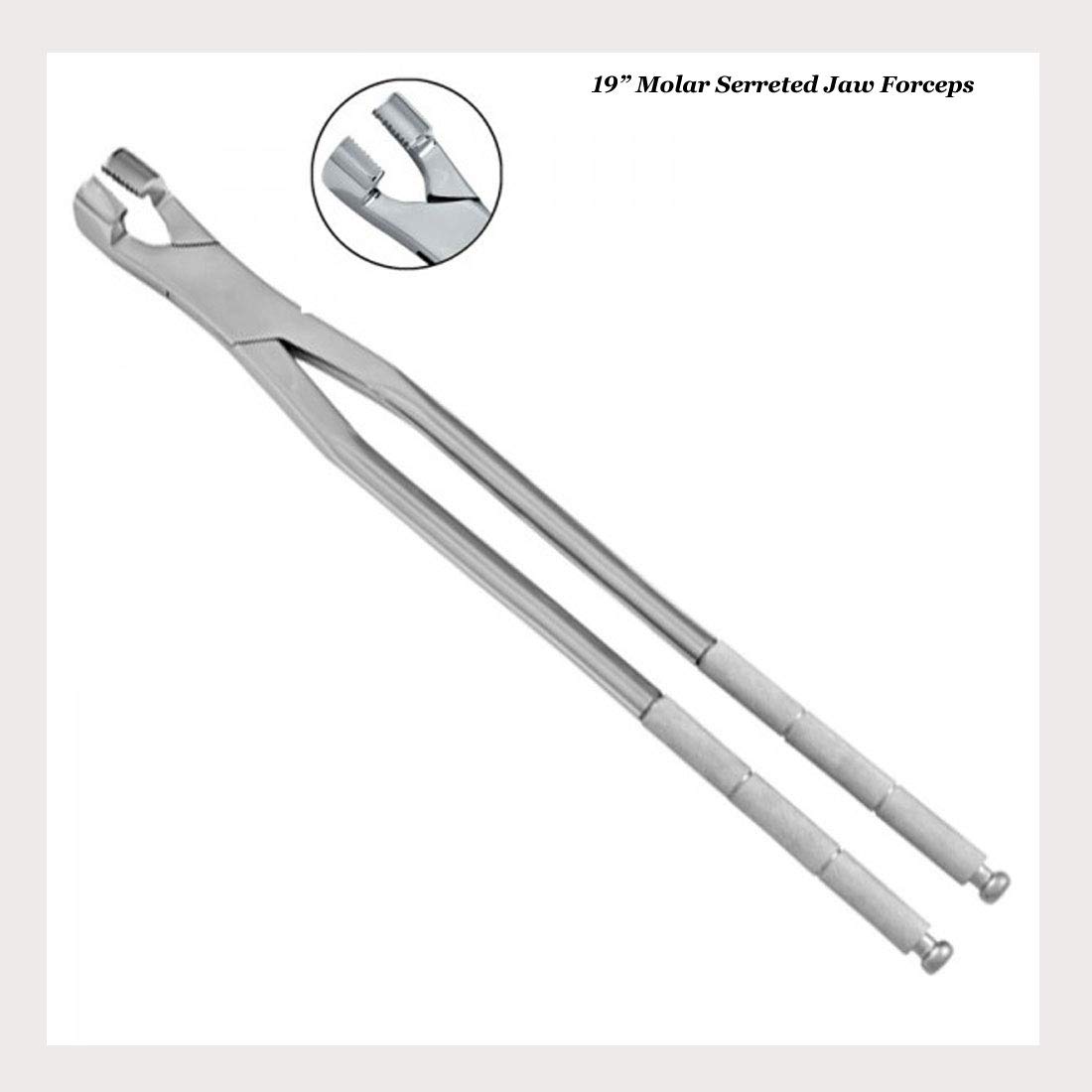 Tooth Extraction Tools
