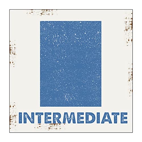 Buy OMSC Intermediate Ski Slope Metal Sign, Ski, Slopes, Sport, Winter ...