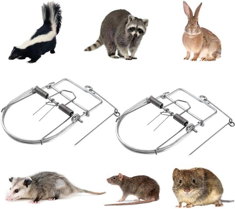 Amazon.com : 2 Pack Small Animal Traps Mouse Trap,Spring Trapt Rodent ...