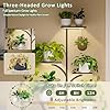 Amazon.com: Oiyue Plant Stand Indoor with Grow Lights, 60" Tall 7-Tier ...