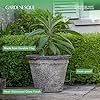Gardenesque Extra Large Stone Plant Pot, Frostproof Stone Planters For ...