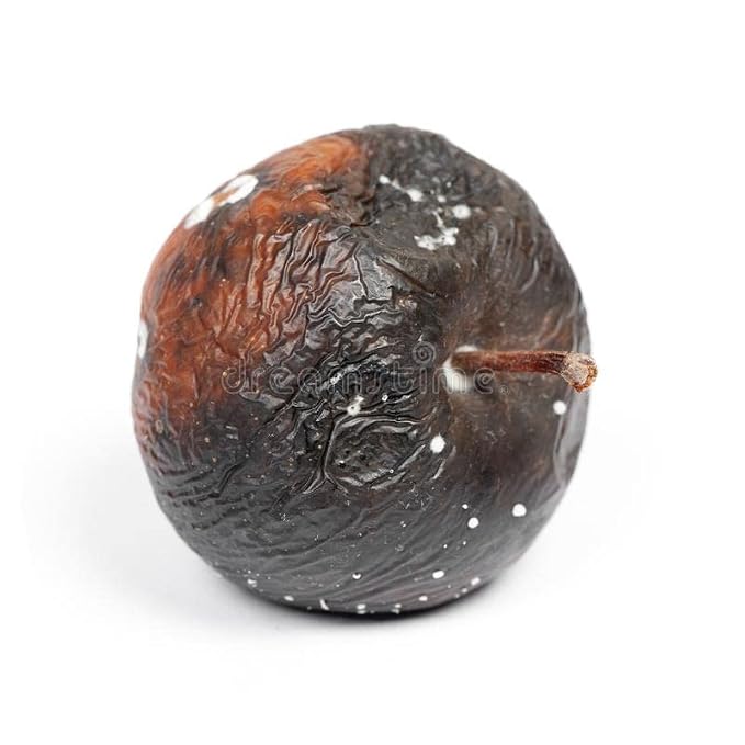 Pmw Dried Madiphalam - Citron Fruit for Havan and Homam Purpose ...