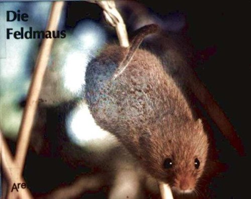 Die Feldmaus - Farbige Tierwelt [mit vielen Farbaufnahmen] (Arena ...