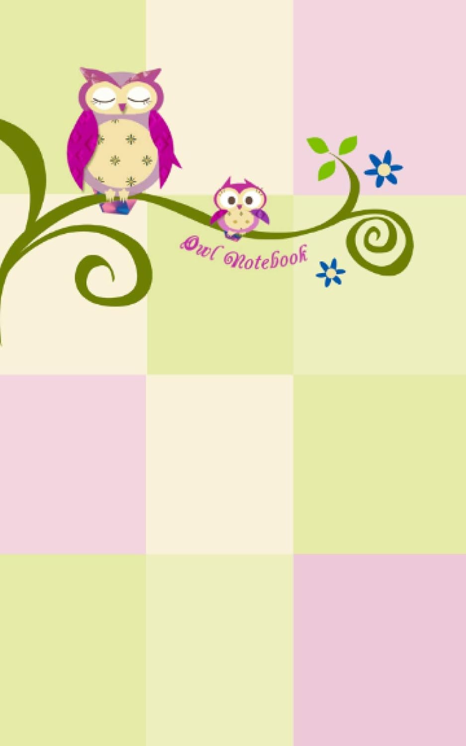 Amazon.com: Owl Notebook: Owl Gifts / Presents [ Small Ruled Writing ...