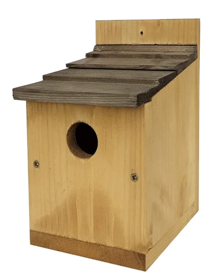 Classic Nest Box with Shingles x 1 Wooden Wild Bird House SMF : Amazon ...