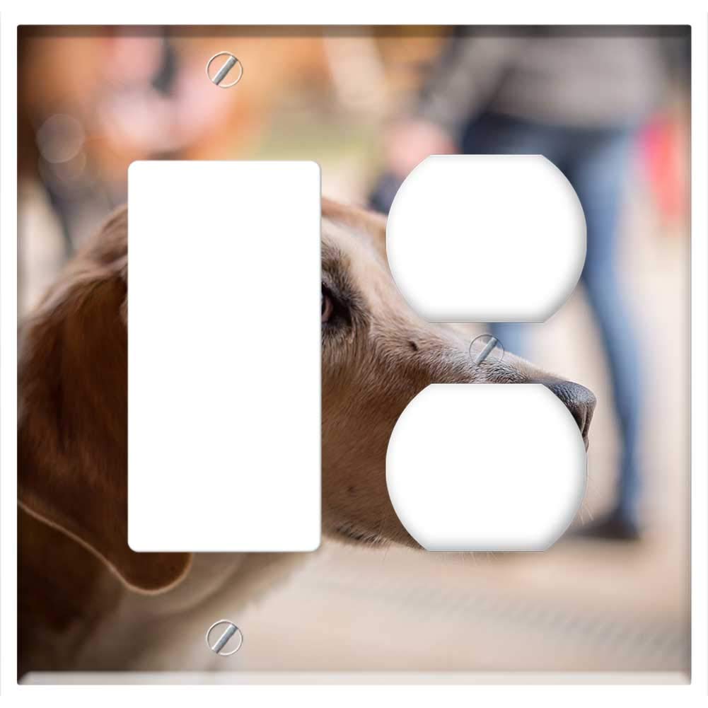 Sad Dog Begging