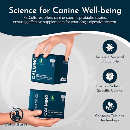 Dog Calming Supplement, Dog Anti Anxiety And Stress Relief With L ...