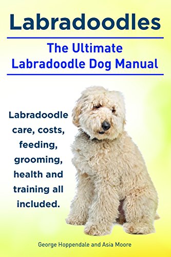 Labradoodle. Labradoodle Dog Manual. Labradoodle book for care, costs ...