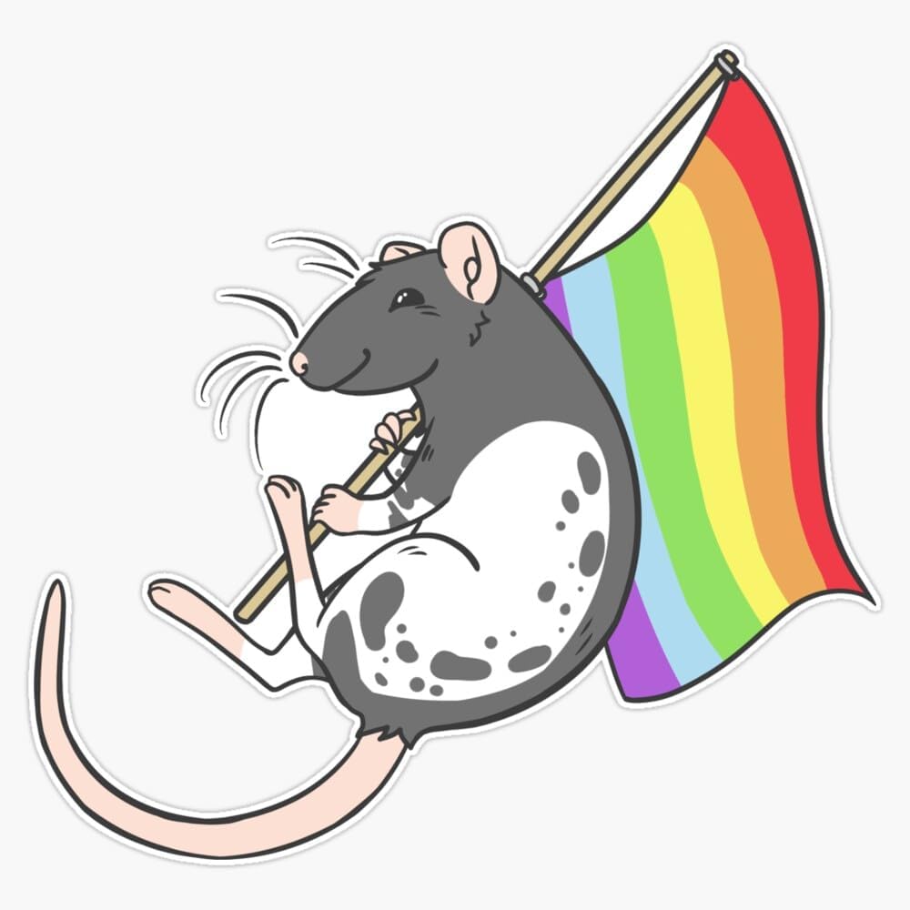 Amazon.com: Gay Pride Rat - Flag Edition Bumper Sticker Vinyl Decal 5 ...
