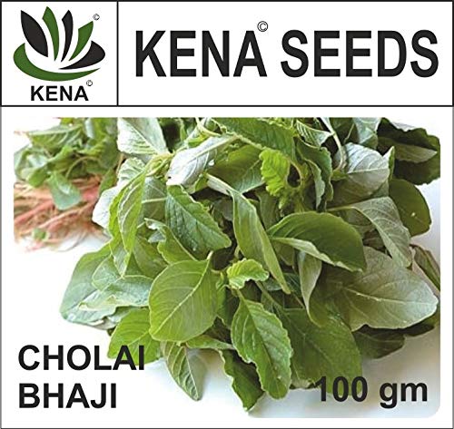 AMATANTHUS TANDALJO BHAJI CHOWLAI BHAJI SAAG BHAJI SEEDS GREEN PATTI ...