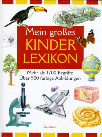 Mein großes Kinderlexikon: Mehr als 1700 Begriffe : Landa, Norbert ...