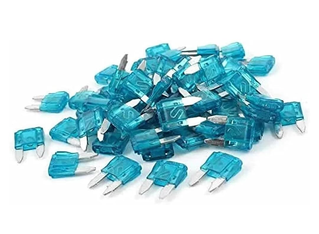 THE BLP 15 Amp Mini Blade Fuse (Pack of 100) : Amazon.in: Electronics