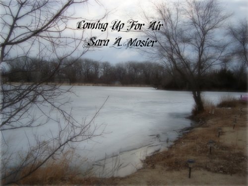 Amazon.com: Coming Up For Air eBook : Mosier, Sara: Books