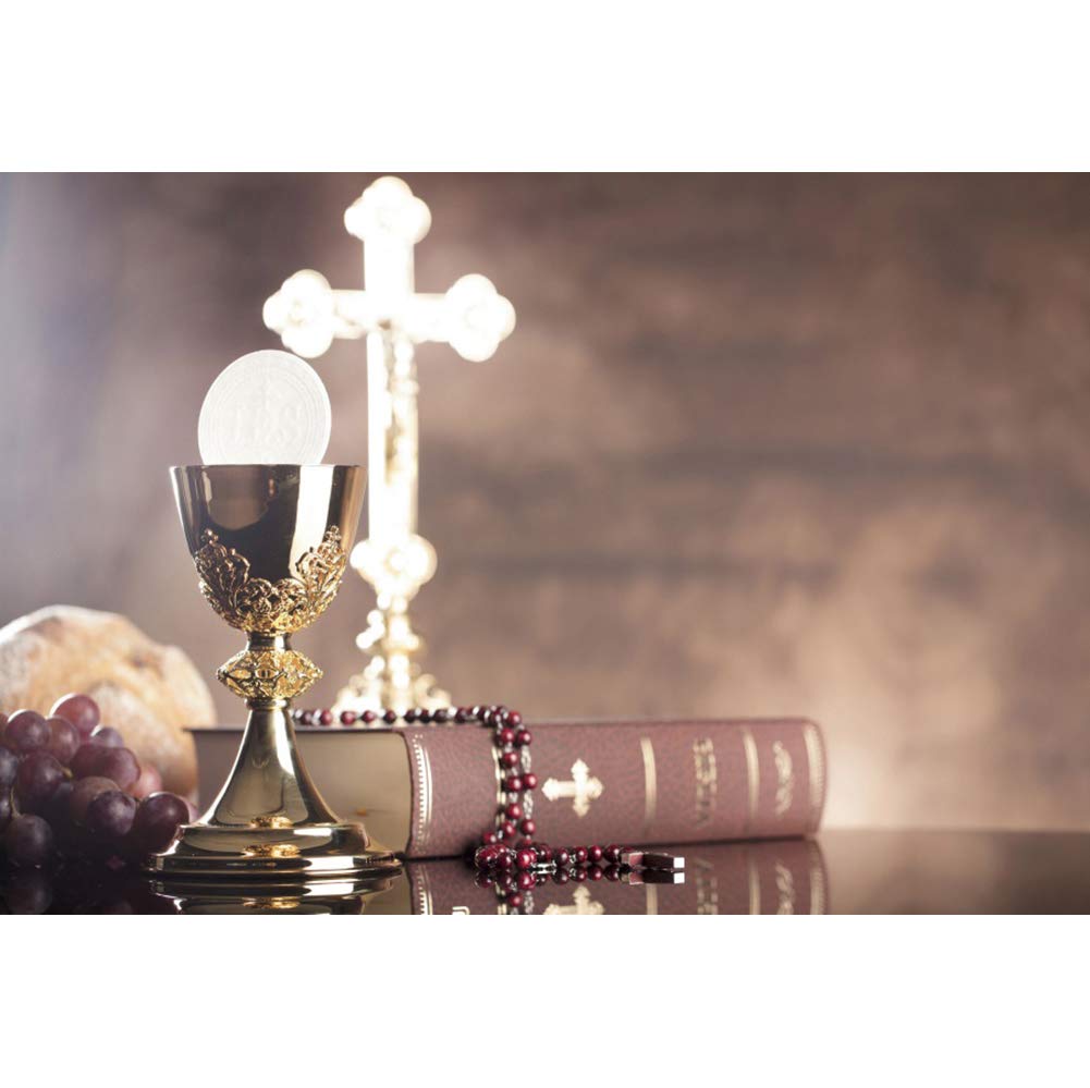 Buy DASHAN Vinyl 10x8ft First Holy Communion Backdrop Christian ...