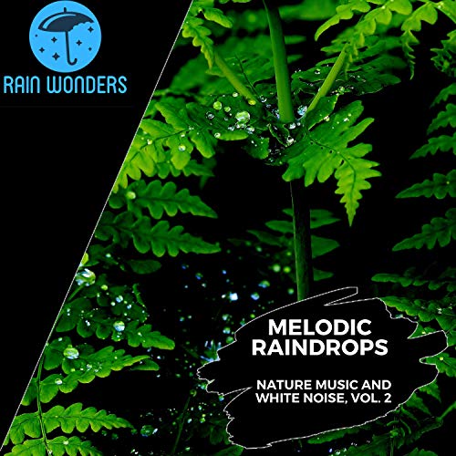 Play Melodic Raindrops - Nature Music and White Noise, Vol. 2 by Rain ...