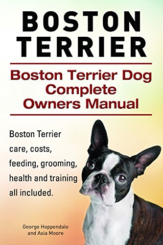 Boston Terrier. Boston Terrier care, costs, feeding, grooming, health ...