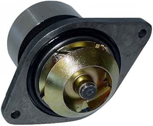 Amazon.com: Bomba de agua - Caja/Cosechadora internacional - 4892175 ...