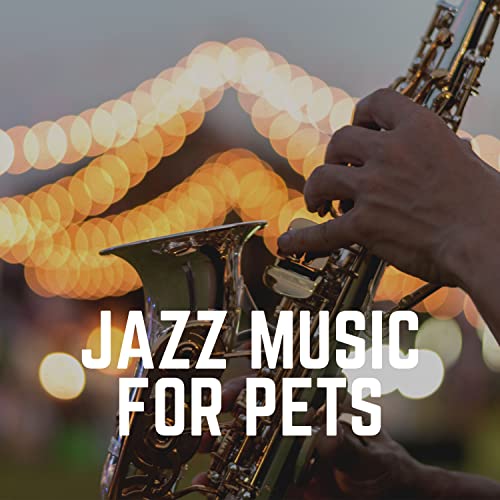 Écouter Jazz Music for Pets par Jazz Music Therapy For Cats, Jazz for ...