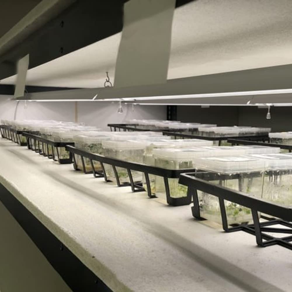 Active Grow Integrated Dual T8 4FT LED Grow Light - T8 Grow Lights for ...
