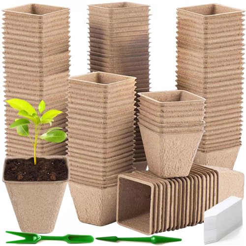 Macetas biodegradables: la opción eco-friendly para tus plantas y el ...