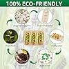 Amazon.com: Lconvicely Disposable Taco Holders for Party - Bagasse Pulp ...