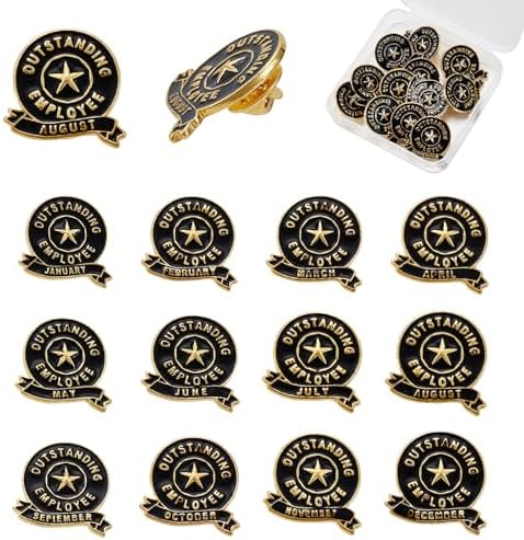 Dilunave 24 Pcs Employee of the Month Lapel Pin Employee Star ...