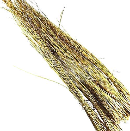 Urbans Hub Dharbha Grass/Dharbha pul/Halfa Grass/Kusha Grass for Pooja ...