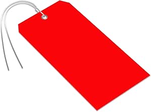 SmartSign (Pack of 100) Red Plastic Tags with Wires, 6.25 x 3.125 inch ...