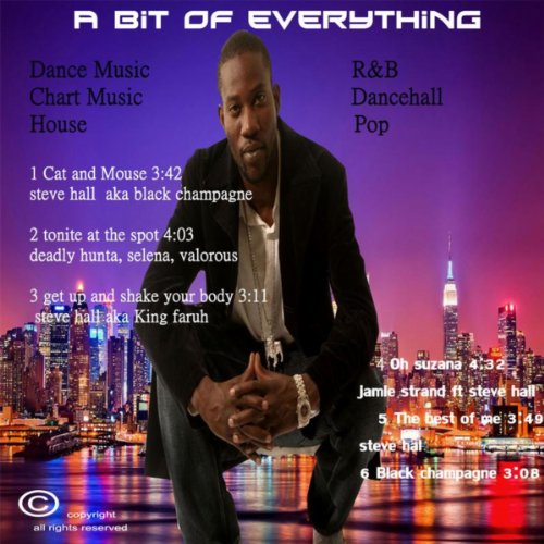 Amazon.com: A bit of everything [Explicit] : Steve Anthony: Digital Music