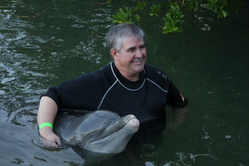 Swimming with the Hargroves (Shipwrecked on the Gold Coast Book 1 ...