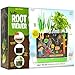 Root Viewer Kit for Kids - Grow Your Own Plant Garden for Boys & Girls ...