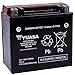 Amazon.com: Yuasa YTX14-BS Maintenance Free Battery with Acid Pack ...