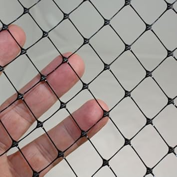 Plastic Bird Netting - 2 metres Wide : Amazon.co.uk: Garden