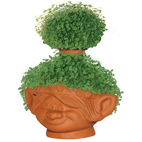 Snapklik.com : Chia Pet Trolls, Poppy World Tour