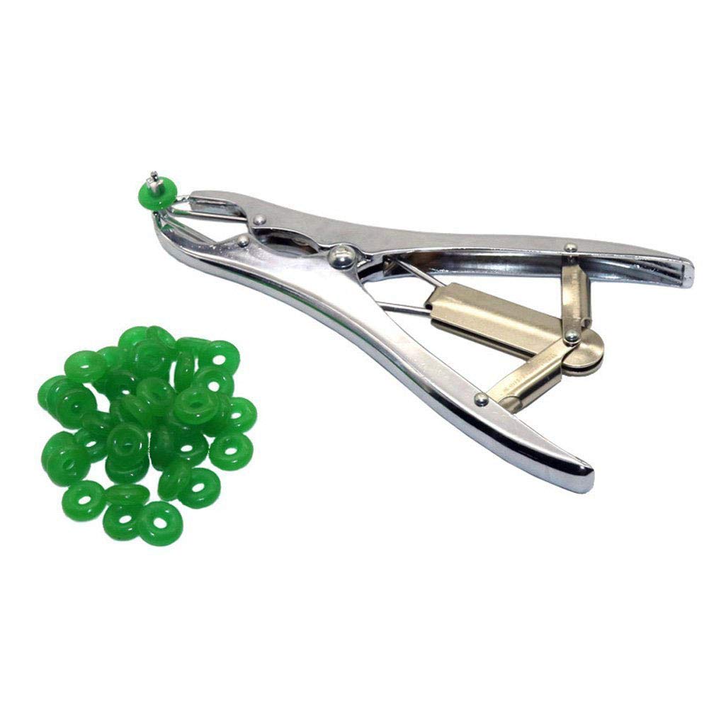 Buy XuBa Stainless Steel Tail Docking Clamp Bloodless Castration Pliers ...