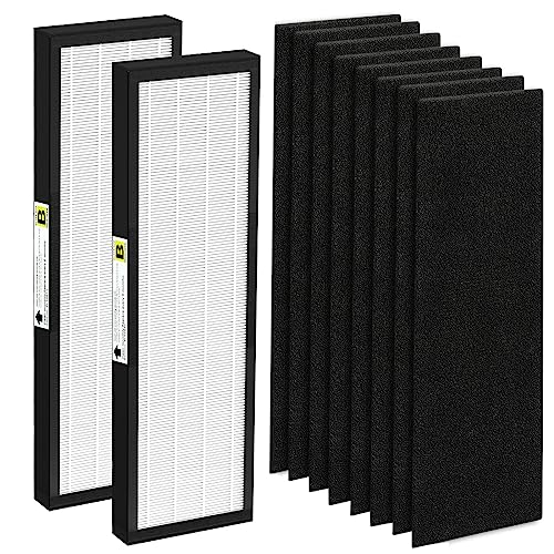FLT4825 Filter B True HEPA Replacement Compatible with G-guardian Air ...