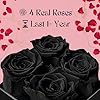 Amazon.com: VLove® Forever Roses in a Box | Real Roses Forever Flowers ...