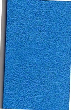 Amazon | The Murder of the Romanovs: The Authentic Account | Bulygin ...