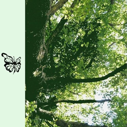 Amazon.com: saccharine sounds : Forest: Digital Music